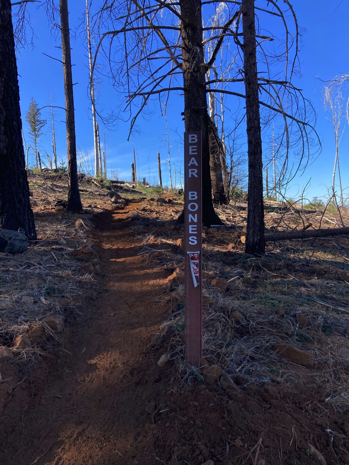 Boggs Mountain Demonstration State Forest – Redwood Trails Alliance