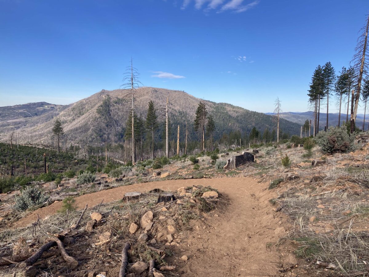 Boggs Mountain Demonstration State Forest – Redwood Trails Alliance