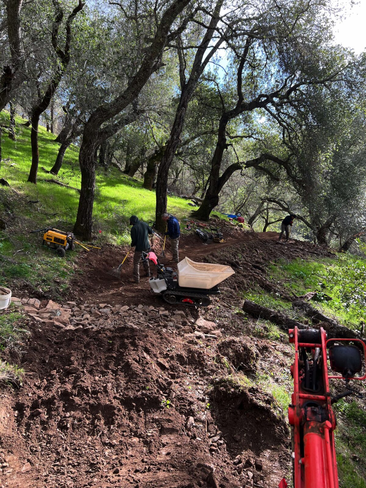 Moore Creek Park – Redwood Trails Alliance