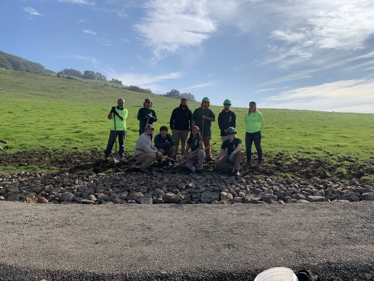 Taylor Mountain Regional Park and Open Space Preserve – Redwood Trails ...